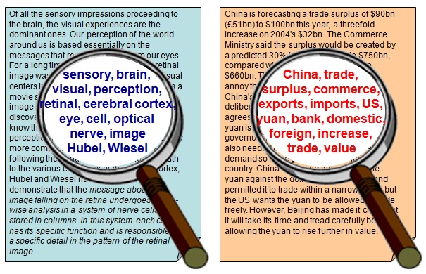 Bag of Words Models for visual categorization | Gil's CV blog